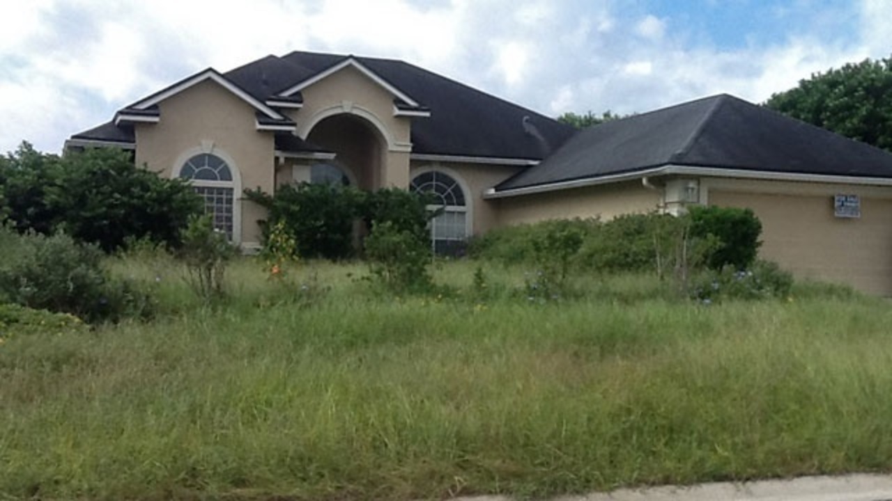 The best lawn is one that is unkempt and full of weeds. : r ...