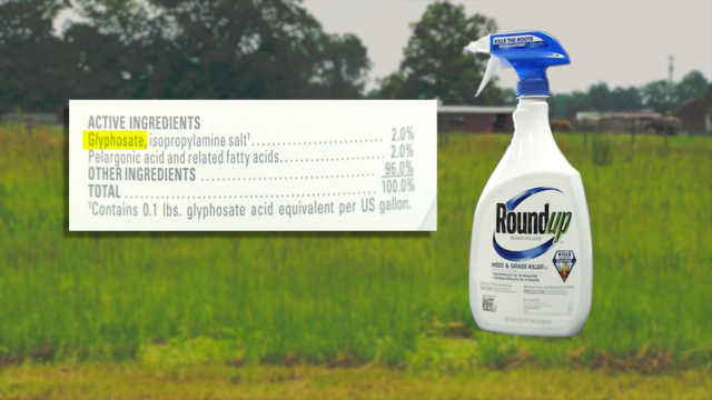 Farmer files lawsuit blaming popular weed killer for his cancer