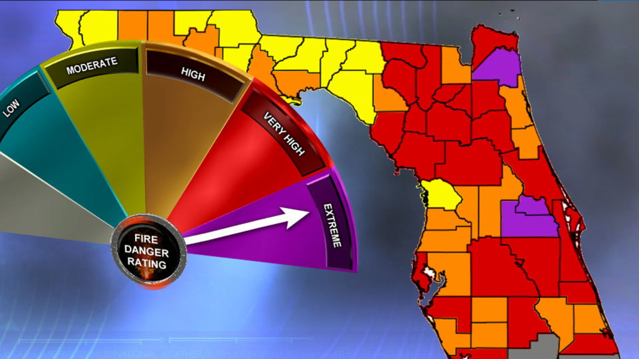Blog Archives - wilecomplete