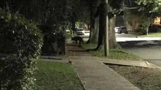 Evidence Lee Rodarte Admitted To Killing Savannah Gold